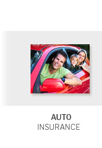 Car Insurance Shopping Tool 🟨 Nov 2025